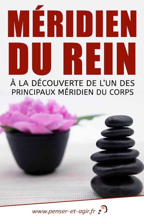 Méridien du rein : à la découverte de l’un des principaux méridien du corps