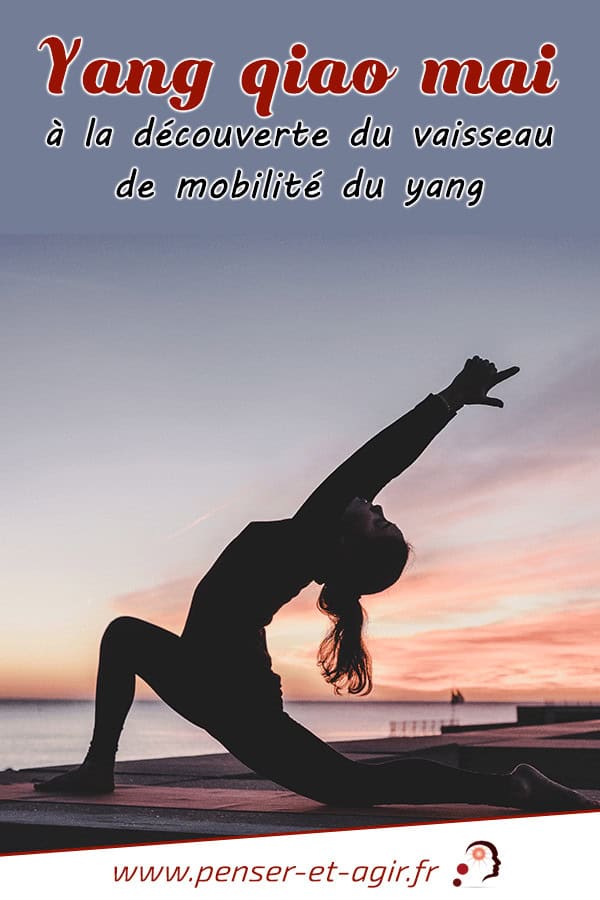 Yang qiao mai: à la découverte du vaisseau de mobilité du yang