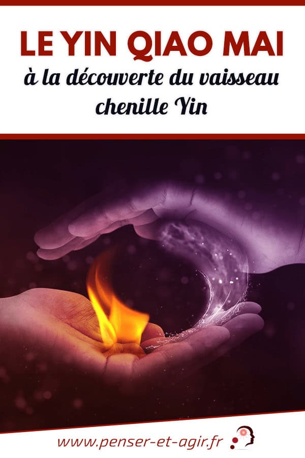 Le Yin qiao mai : à la découverte du vaisseau chenille Yin